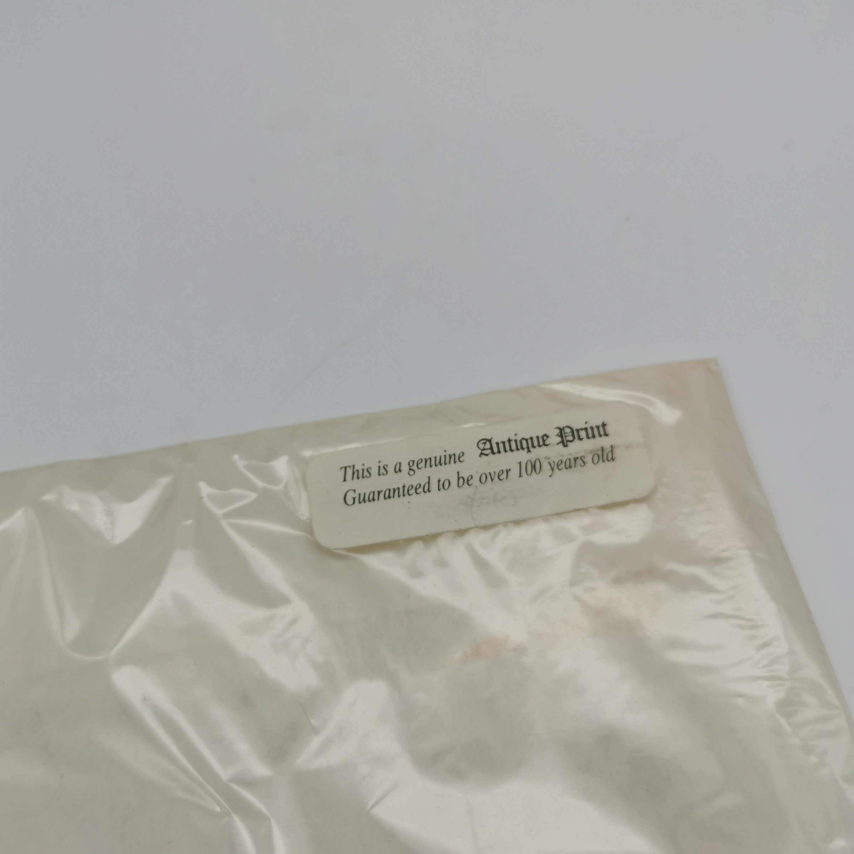 Antique Mounted Art Print of the Pretty Haymaker. Edwardian Art. - Etsy