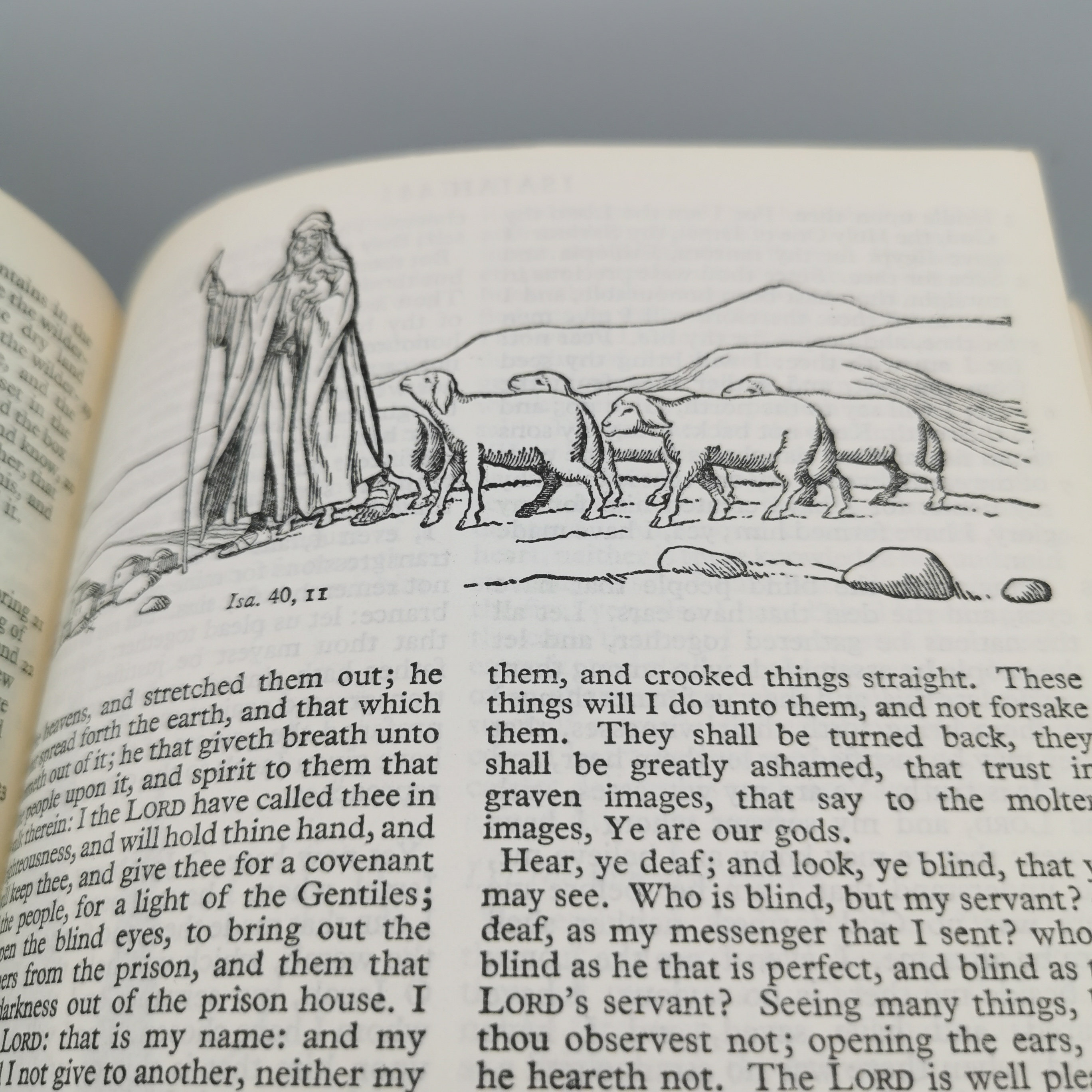 Vintage 1961 Bible With Some Black and White Illustrations. Clothbound ...