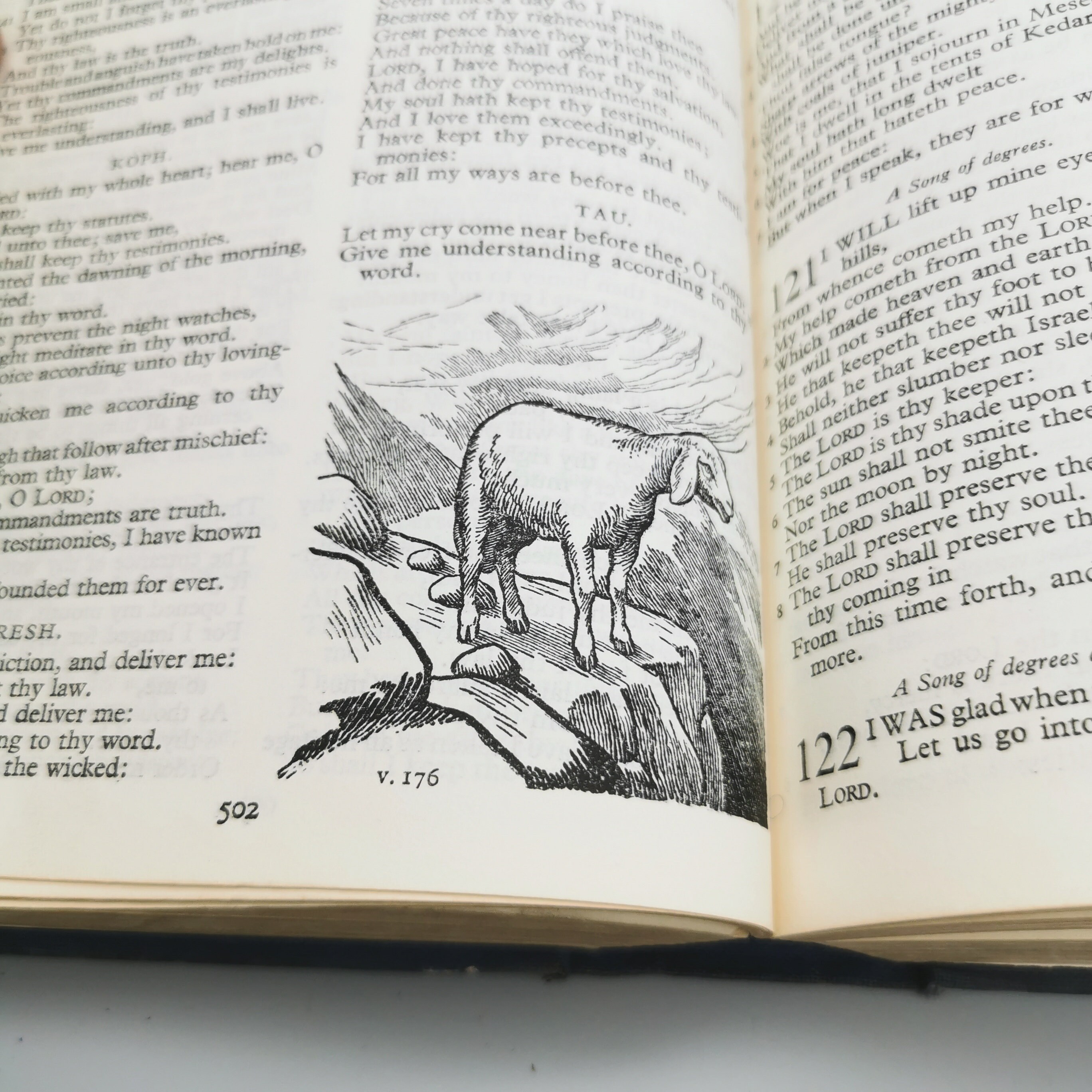 Vintage 1961 Bible With Some Black and White Illustrations. Clothbound ...