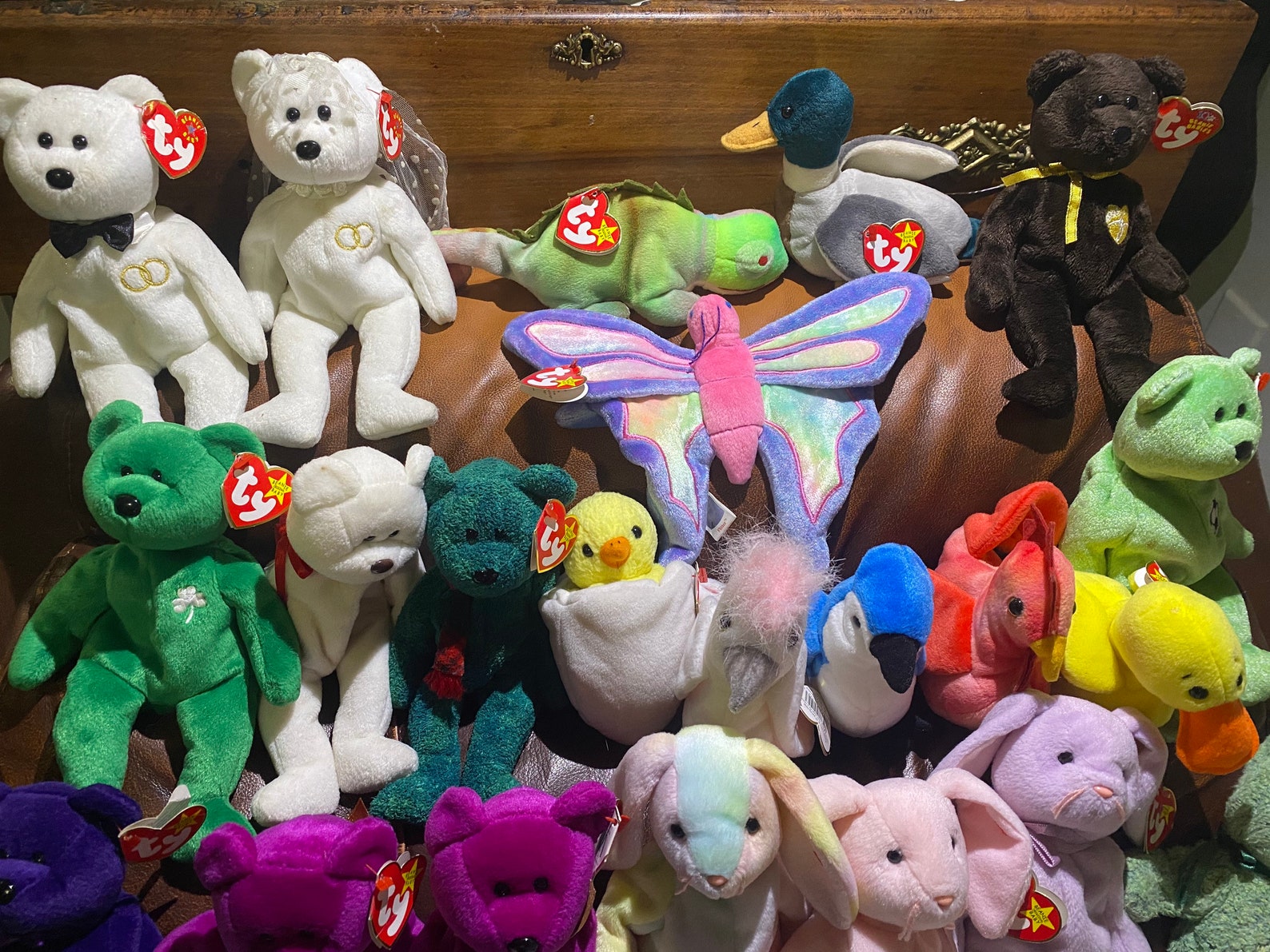 Collection of collectible TY BEANIE BABIES. Willing to | Etsy