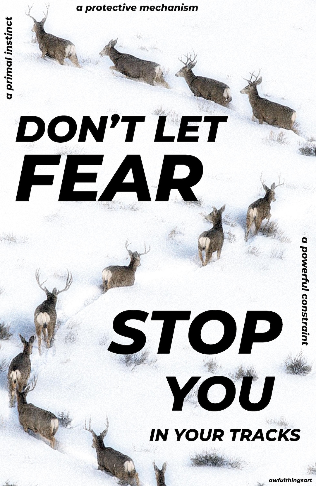 NO FEAR POSTER #2 - Etsy