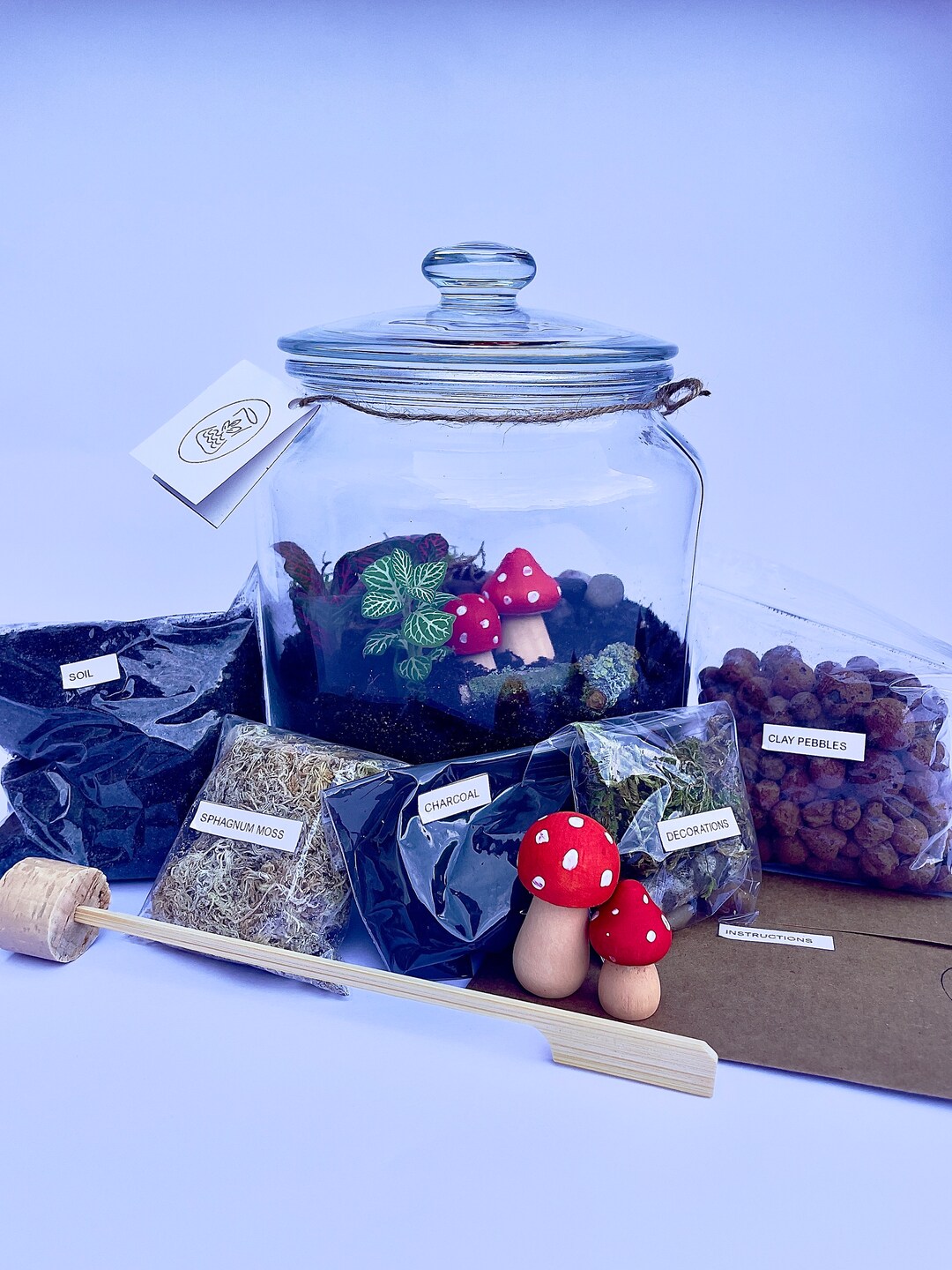 DIY Terrarium Kit: Premium Substrate & Step-by-step Instructions ...