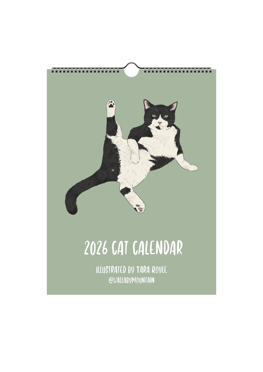 2026 Cat Wall Calendar, Cat Calendar, 2026 Calendar, Funny Wall ...