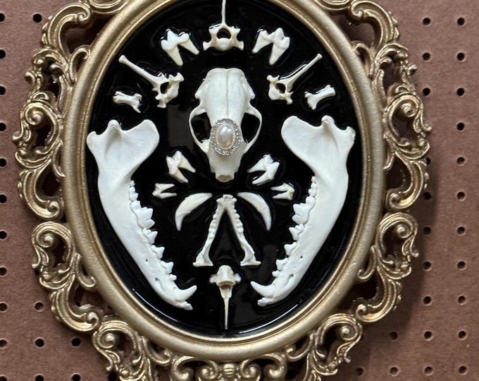 Victorian Framed Bone Art - Etsy