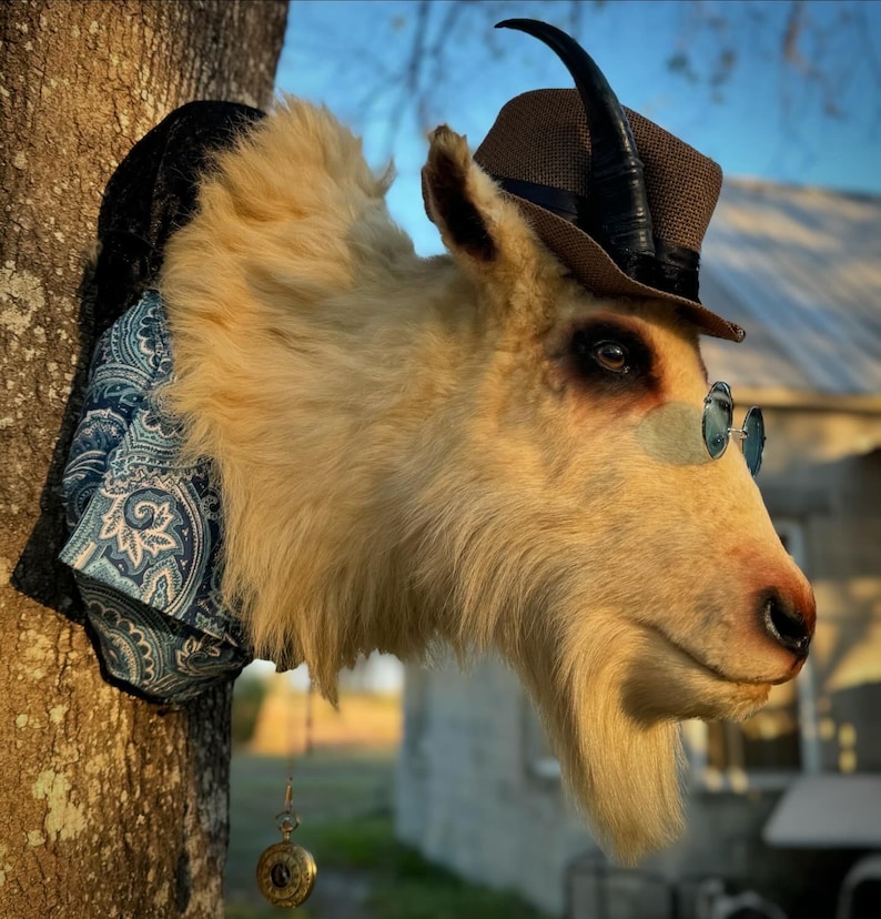 Barnibus - Gentleman Mountain Goat - Taxidermy Oddities - Etsy