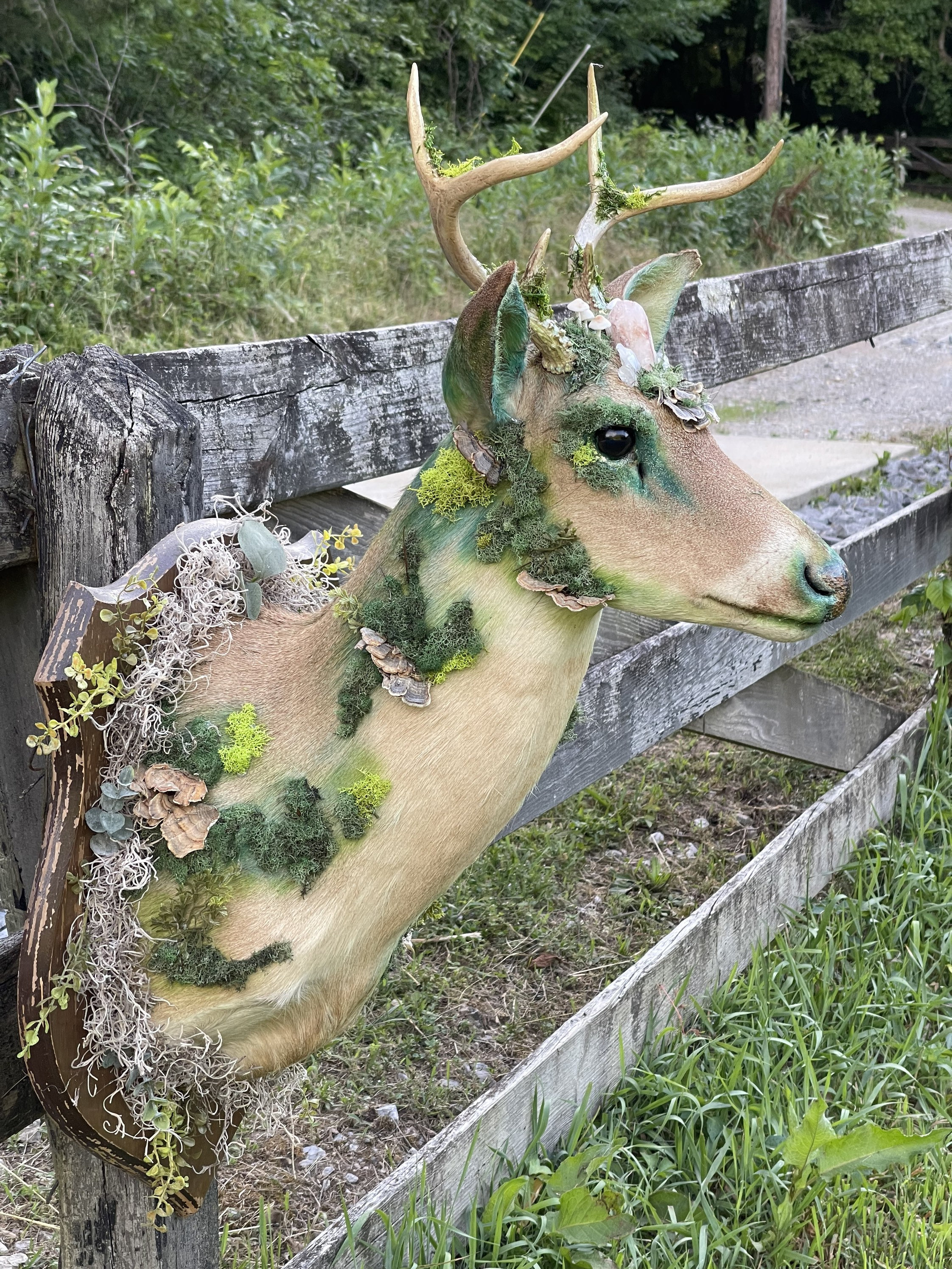 CUSTOM Black Deer Mount - Fantasy Victorian Style - Payment Plans ...