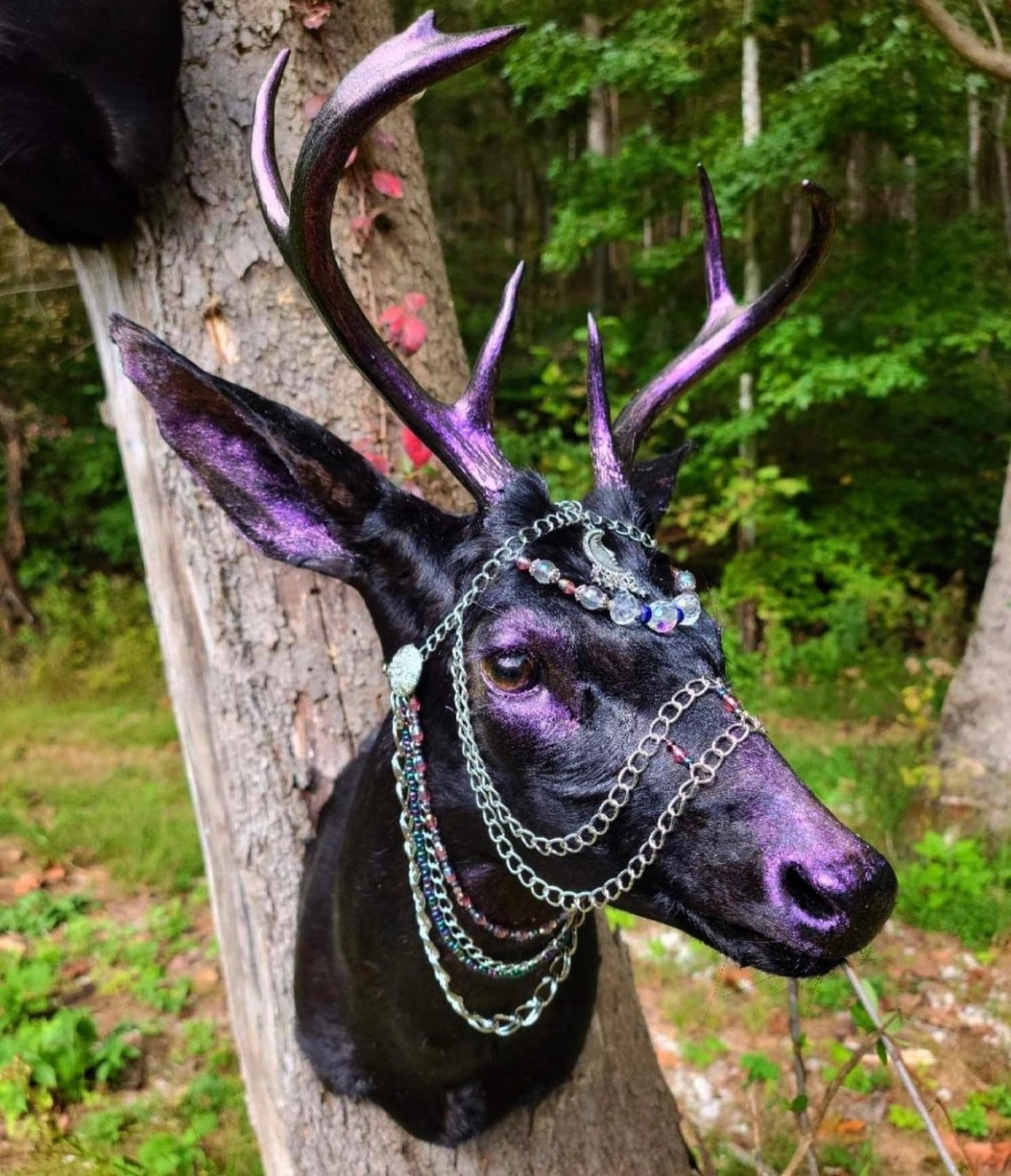 CUSTOM Black Deer Mount - Fantasy Victorian Style - Payment Plans ...
