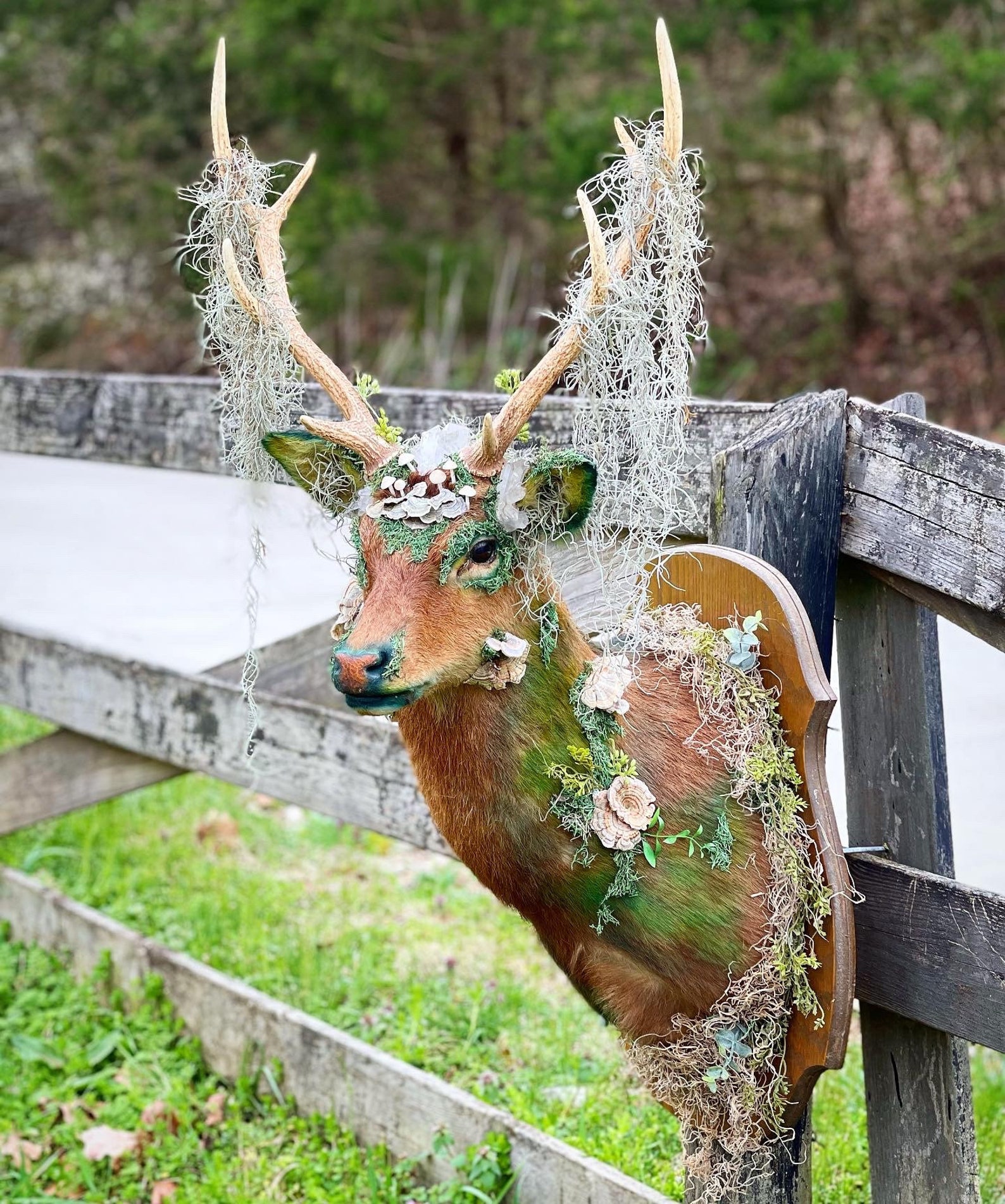 CUSTOM Black Deer Mount - Fantasy Victorian Style - Payment Plans ...