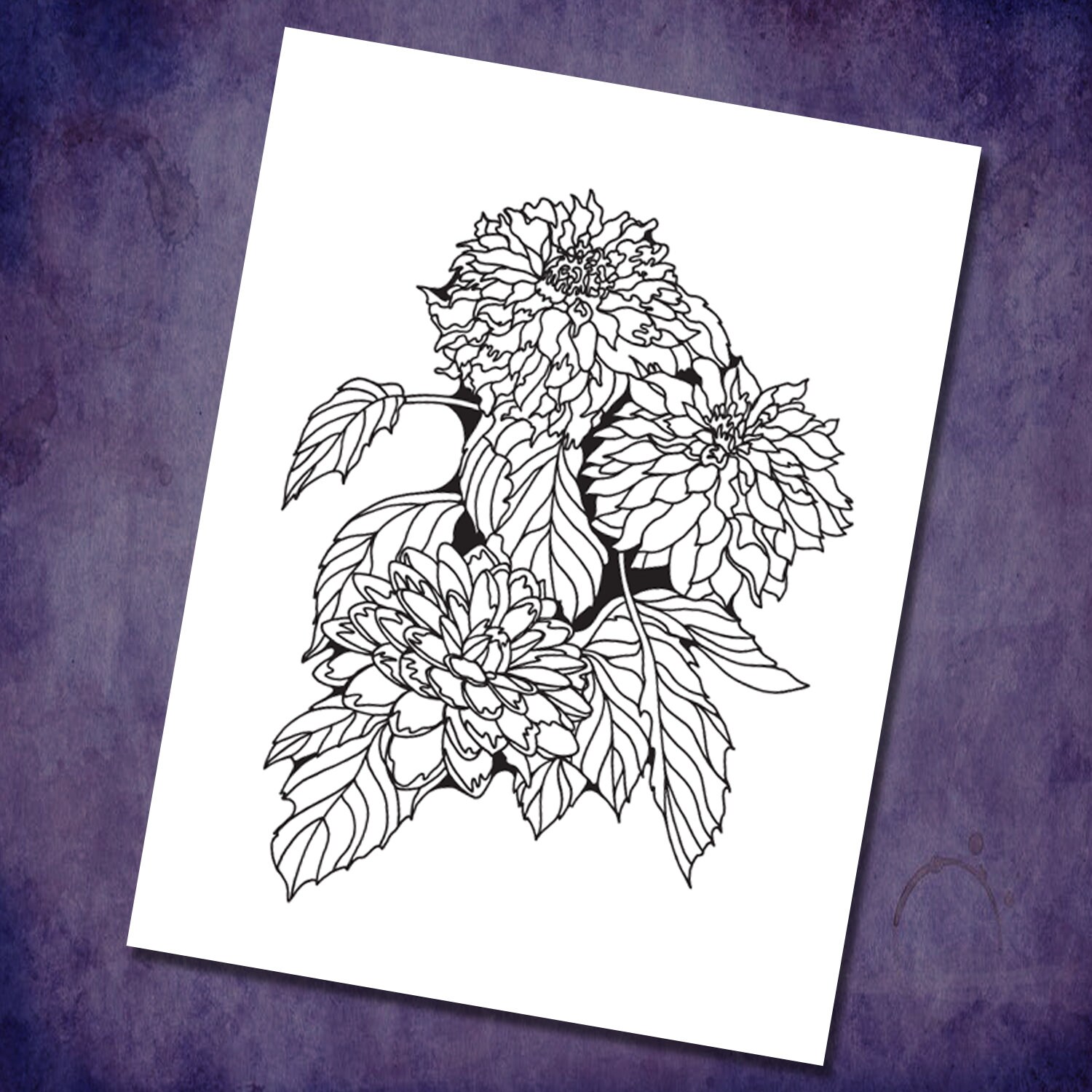 10 Pages of Flower Drawings to Print and Colour - Etsy