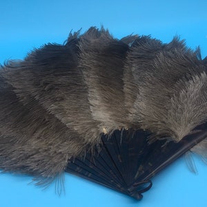 Ostrich Fan - Etsy