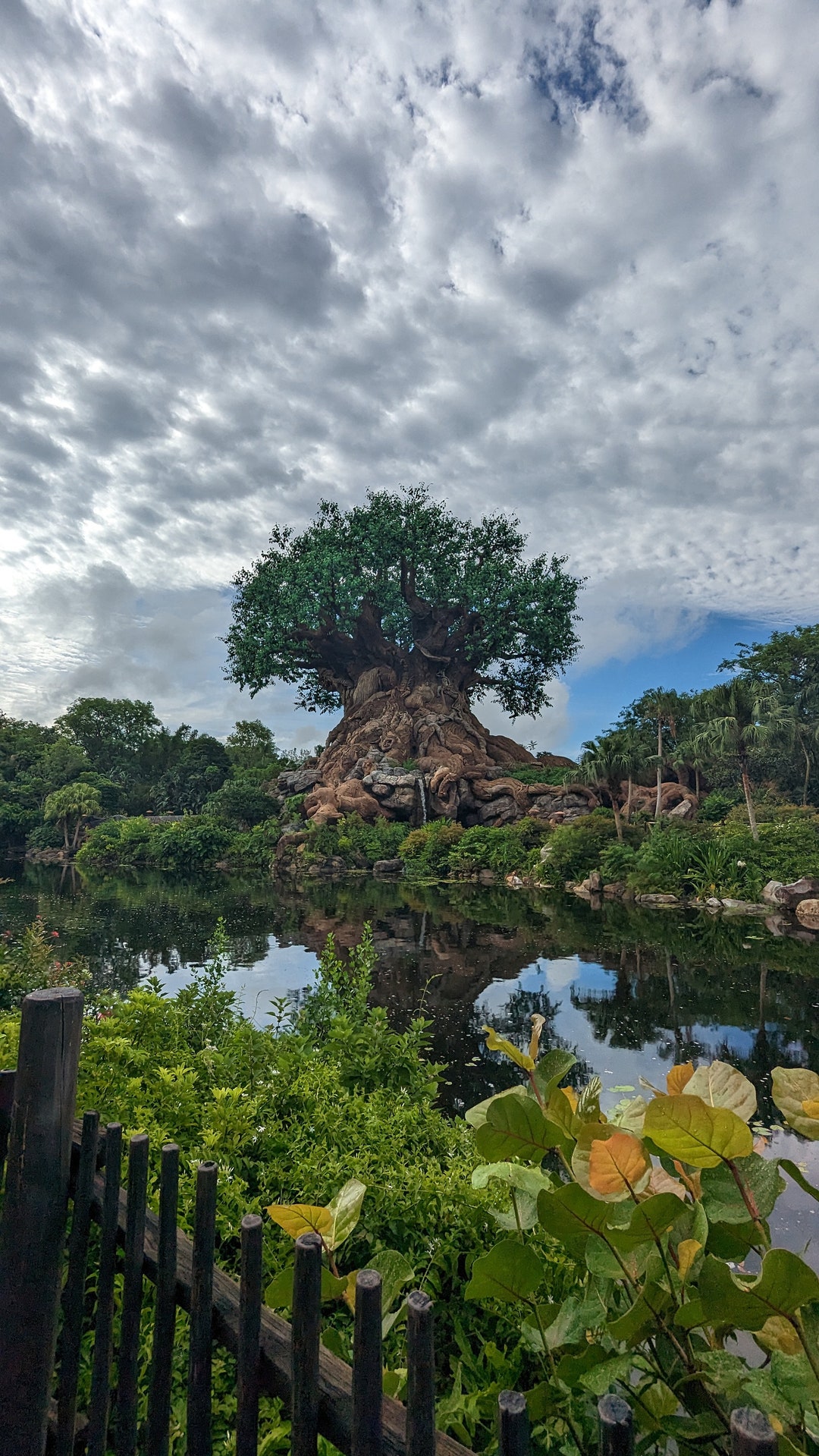 Animal Kingdom Tree of Life - Etsy