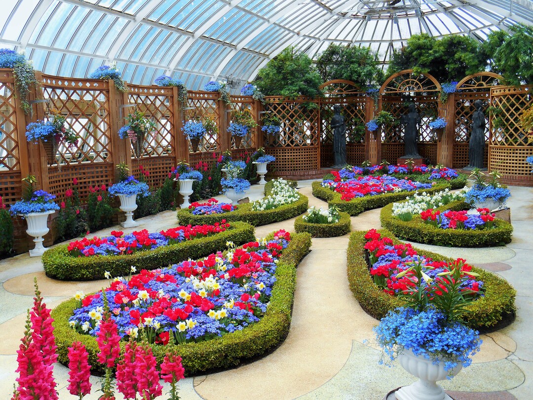 Spring Flowers at Phipps Conservatory - Etsy