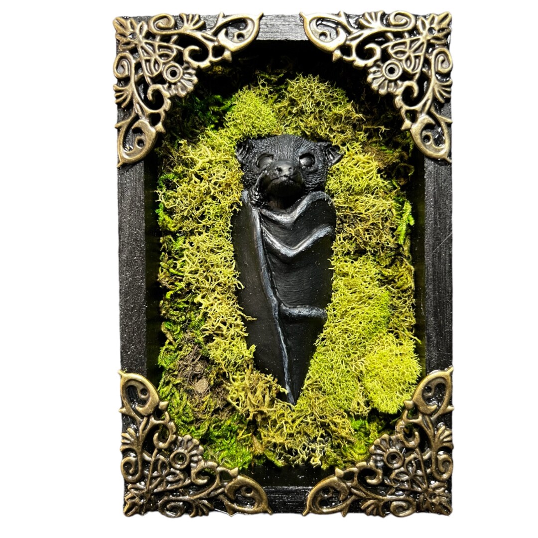 Framed Bat. Polymer Clay Bat. Bat Wall Decor . Goth Decor. Bat Display ...