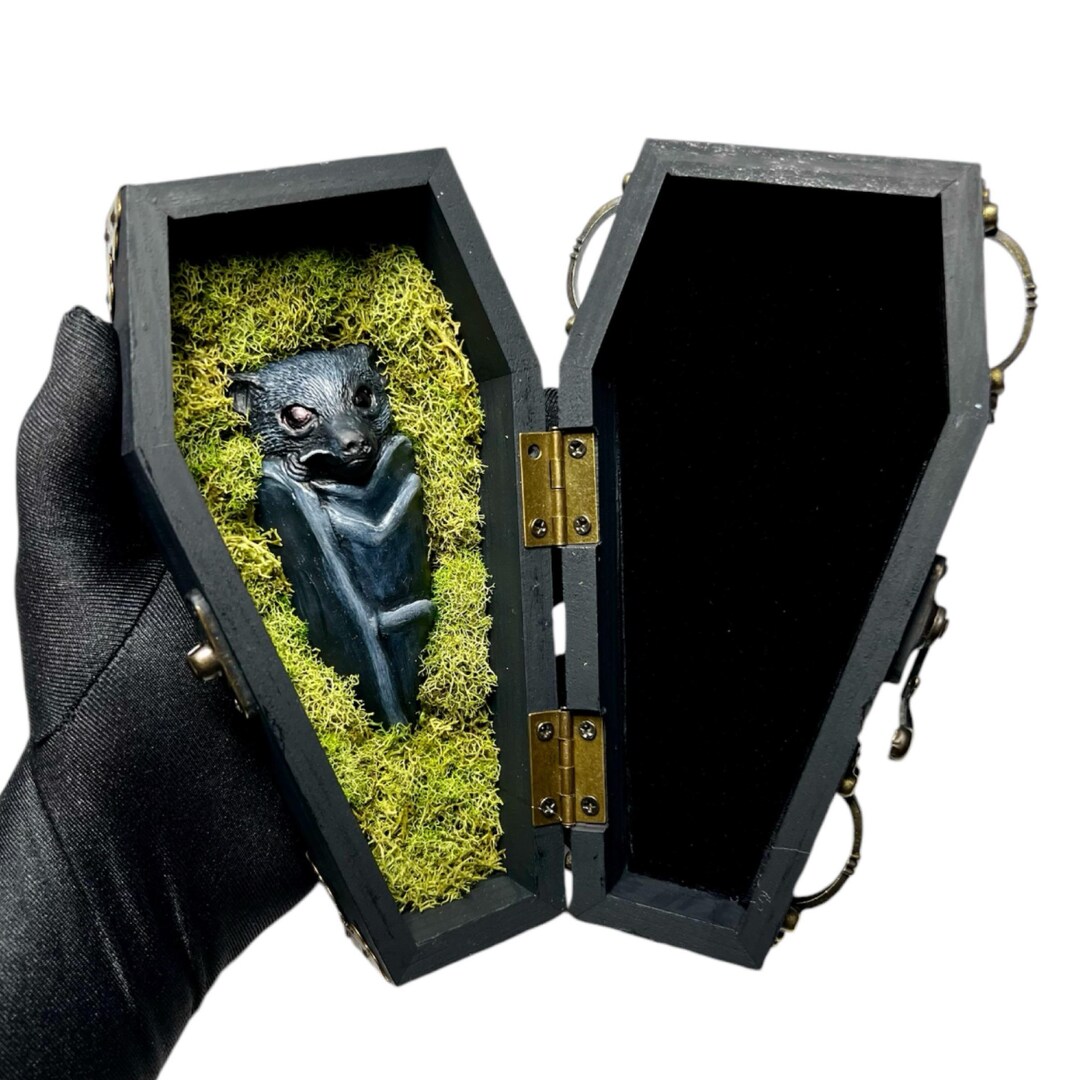 Coffin Shaped Trinket Box With Bat Inside - Gothic Decor & Unique ...