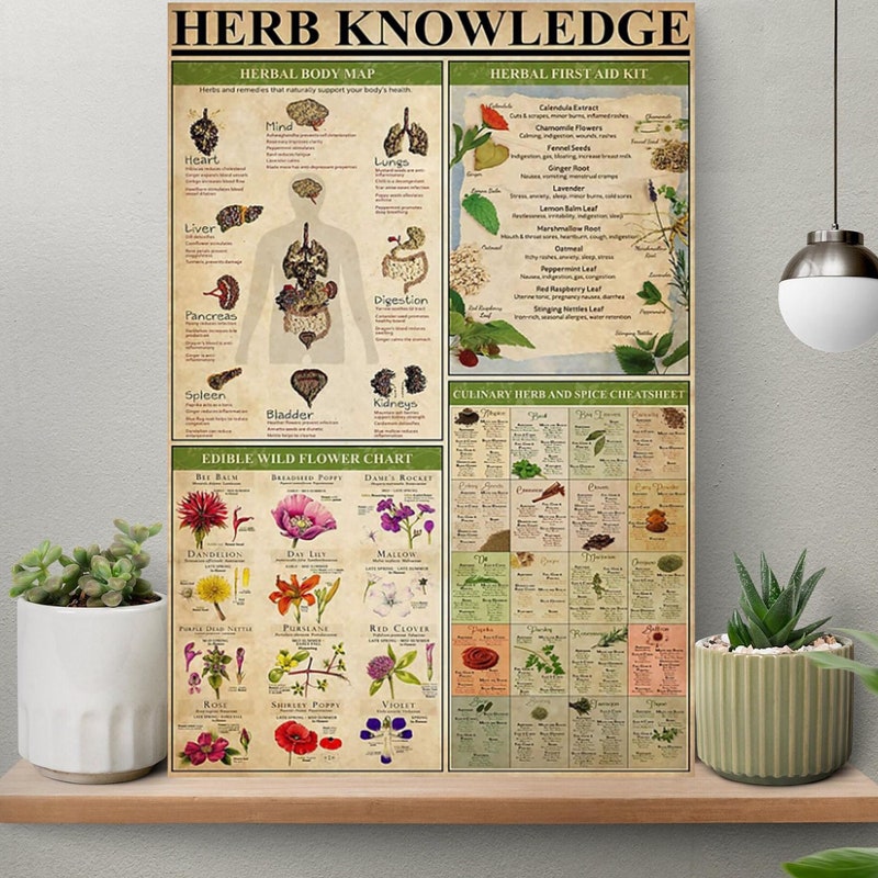 Medicinal Herbs Poster - Etsy UK