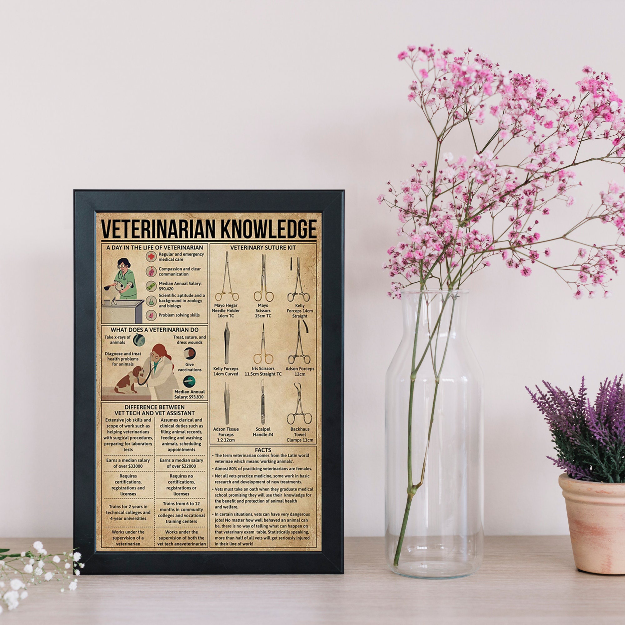 Veterinarian Knowledge Vintage Poster, Knowledge Poster, Veterinarian ...
