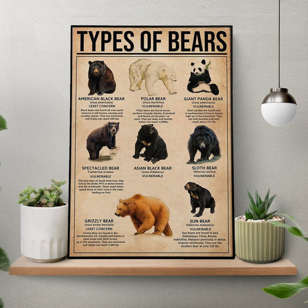 Types of Bear Knowledge Poster Funny Bear Bathroom Vintage - Etsy