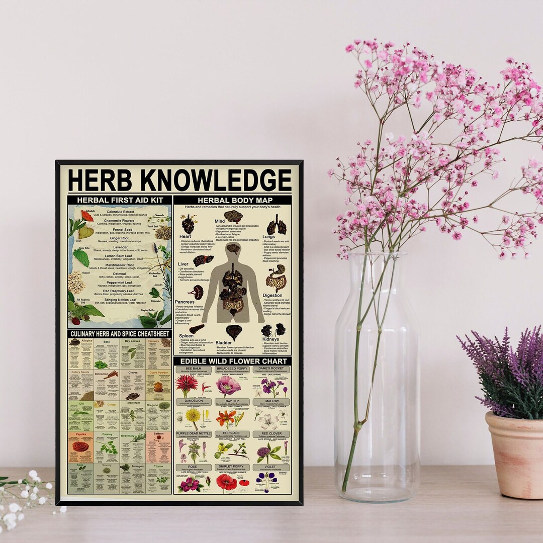 Vintage Herb Knowledge Poster, Herb Knowledge Wall Art, Herb Poster ...