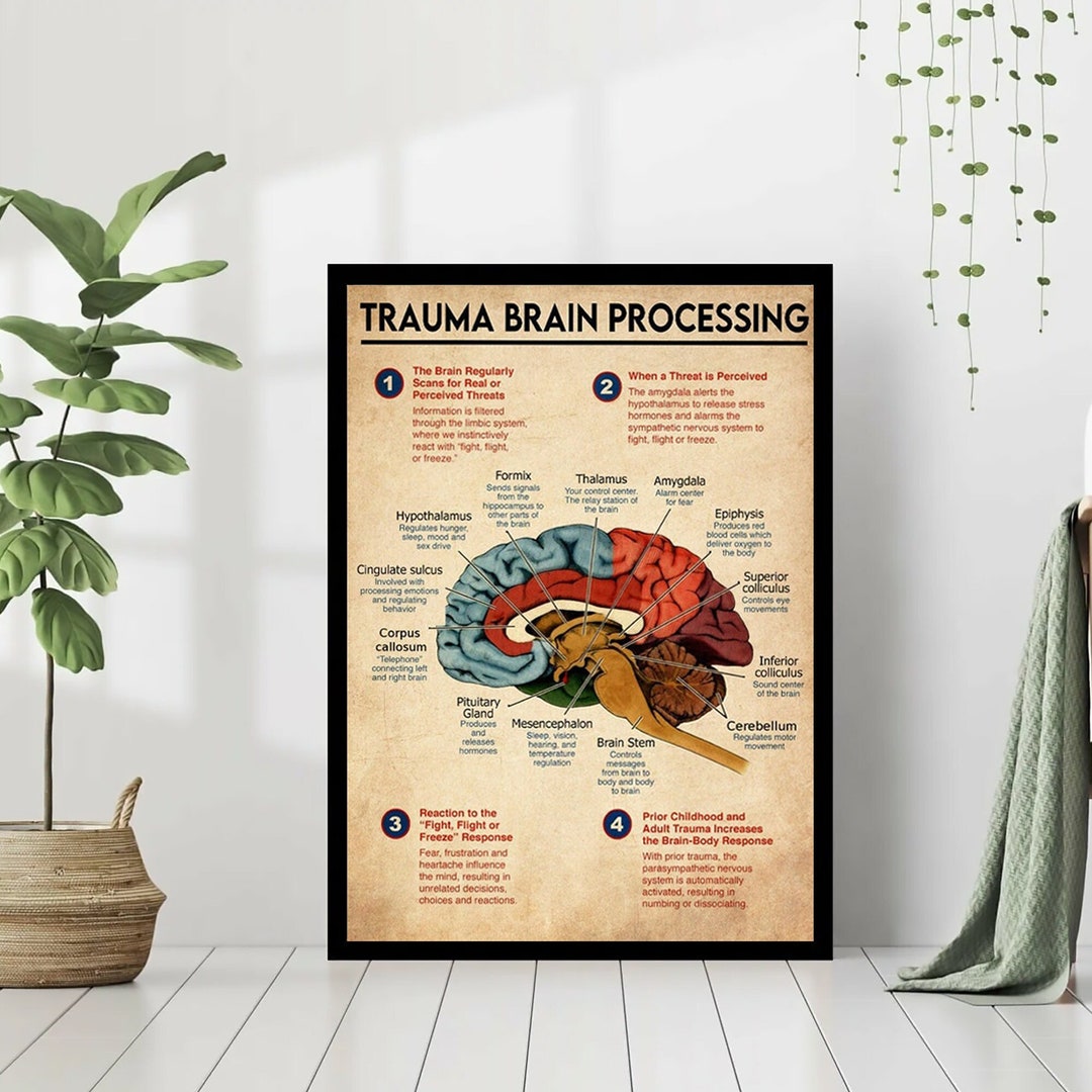 Trauma Brain Processing Knowledge Vintage Poster, Brain Knowledge ...
