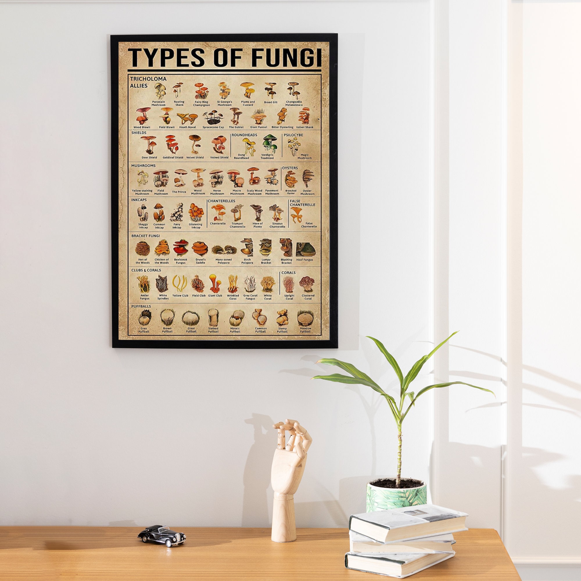 Types of Fungi Vintage Poster, Fungi Poster, Fungi Wall Art, Cooking ...