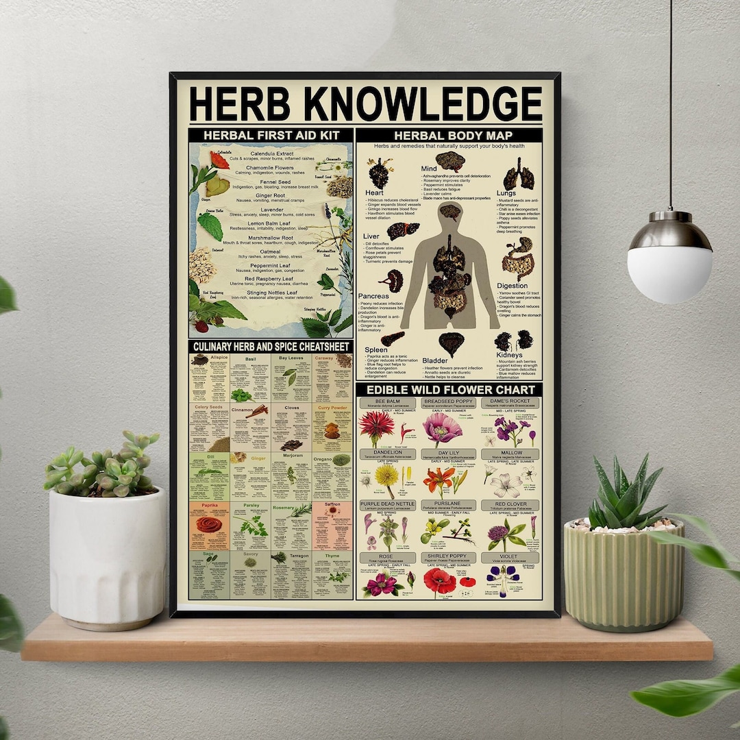 Vintage Herb Knowledge Poster, Herb Knowledge Wall Art, Herb Poster ...