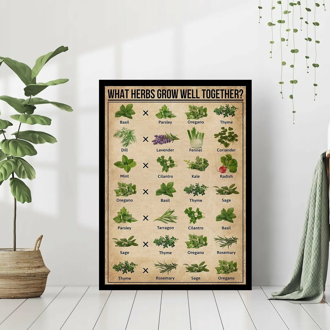 What Herbs Grow Well Together Vintage Poster Gardening - Etsy