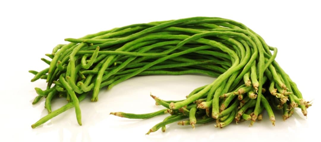 SEEDS Sitaw / Yard Long Bean / 长豆 / Chang Dou / đậu Dài / Asparagus ...