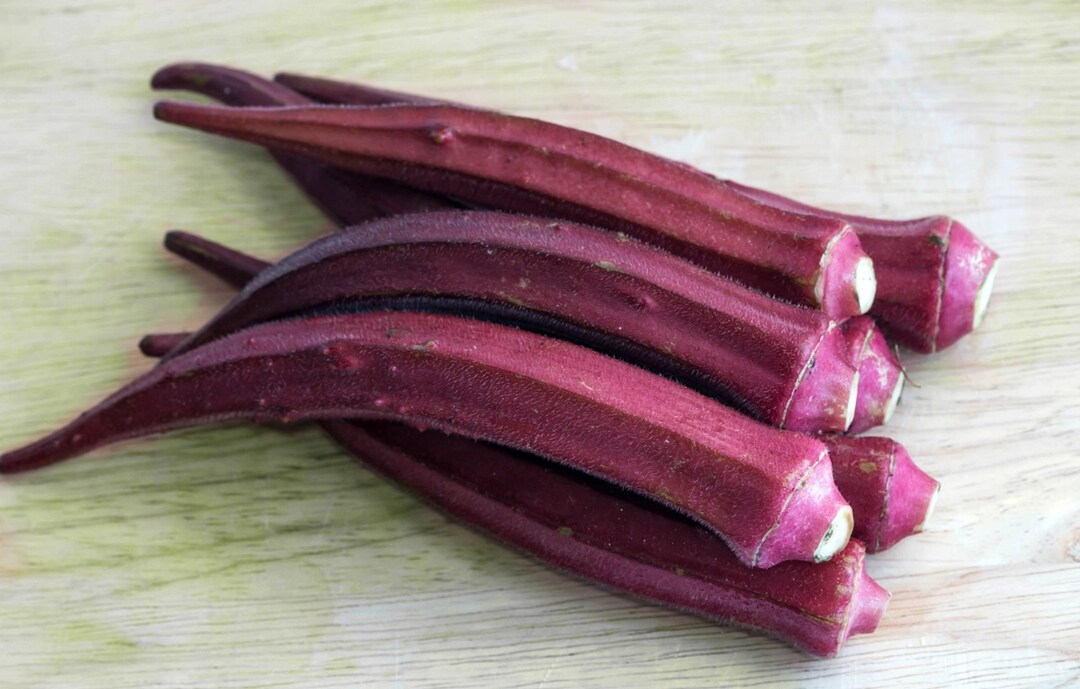 SEEDS Burgundy Red Okra/秌葵/qiū Kuí/bhindi (abelmoschus Esculentus) (for ...