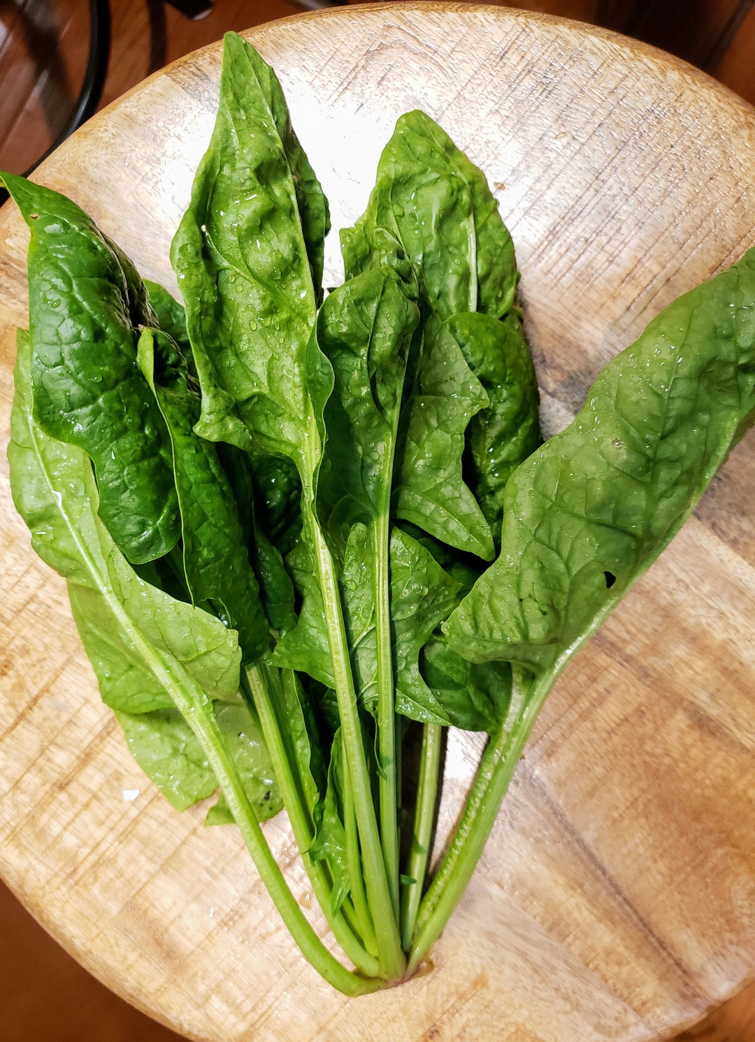 SEEDS Spinach / Espinaka / Spinacia Oleracea (giant Noble Variety) (for ...
