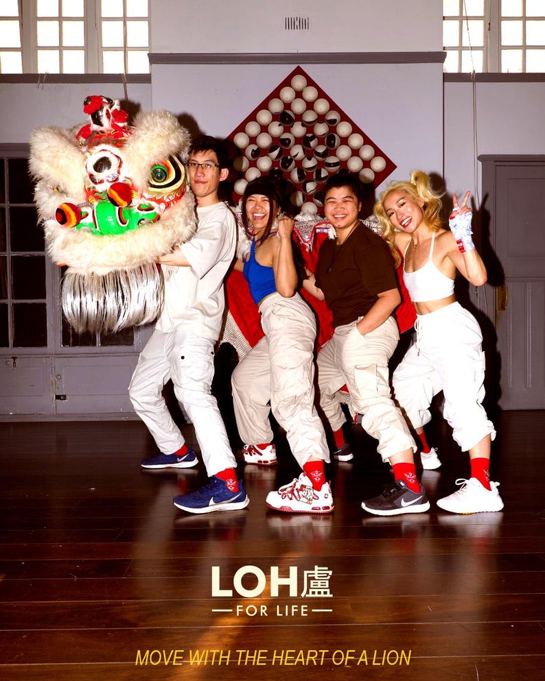 Lucky Cream Lion Dance Cotton Blend Socks • Embroidery • Asian Inspired ...