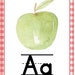 Farmhouse Alphabet Flashcards, Back to School, Primary School, Alphabet ...