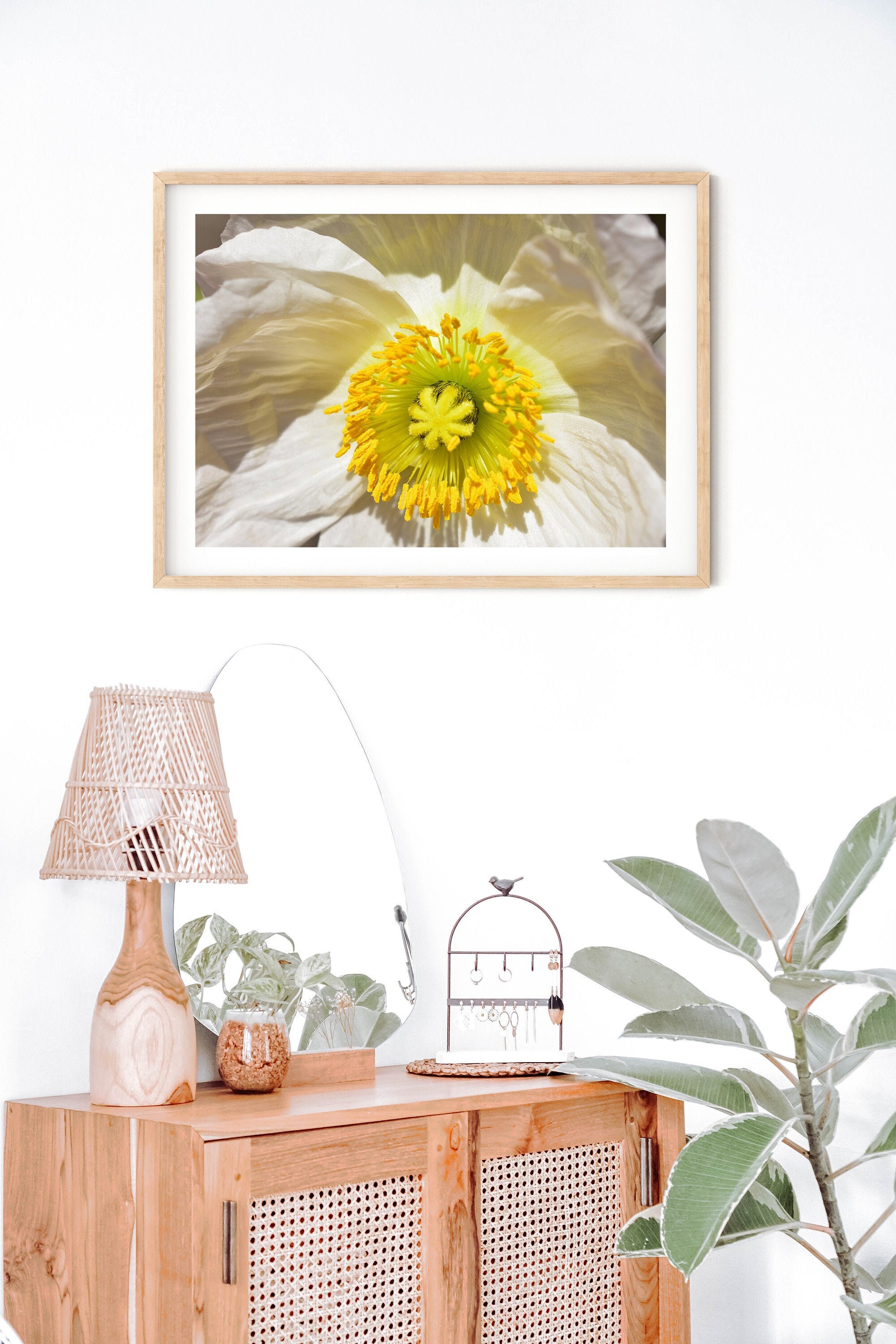 White Poppy Digital Photograph Printable Download - Etsy