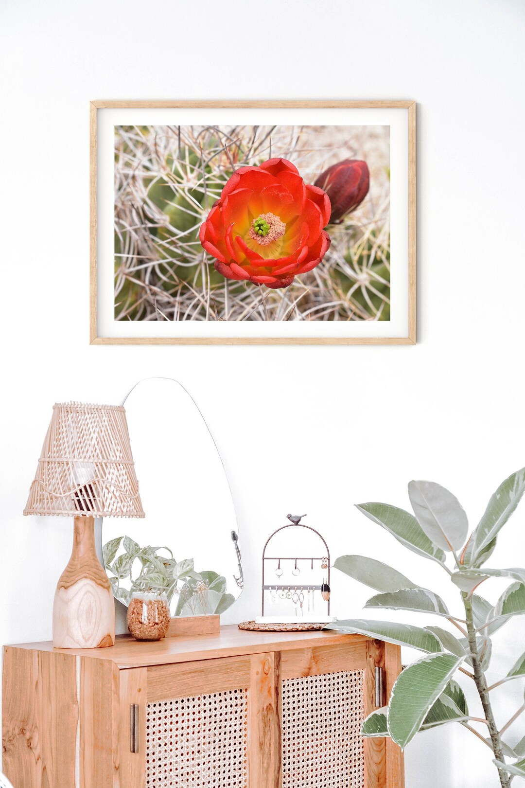 Red Desert Flower Digital Photography Print - Printable Download - Etsy