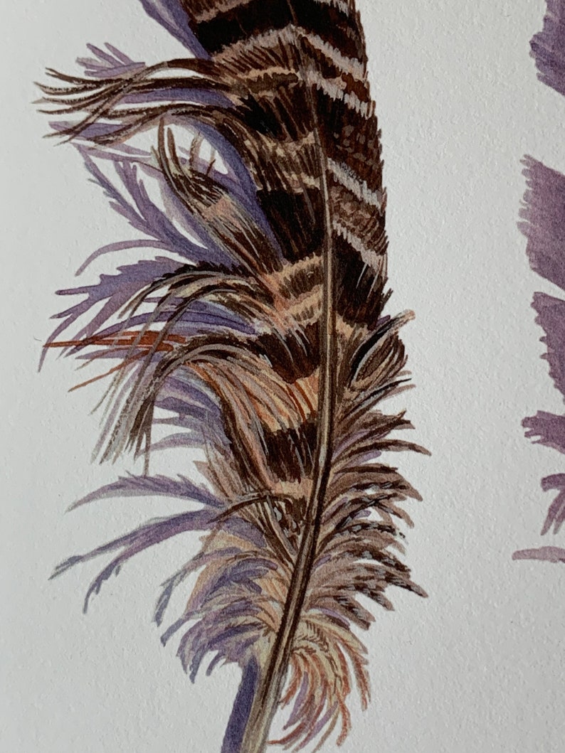 Great Horned Owl Feathers Print, Feather Print, Bird Print, Art Print ...