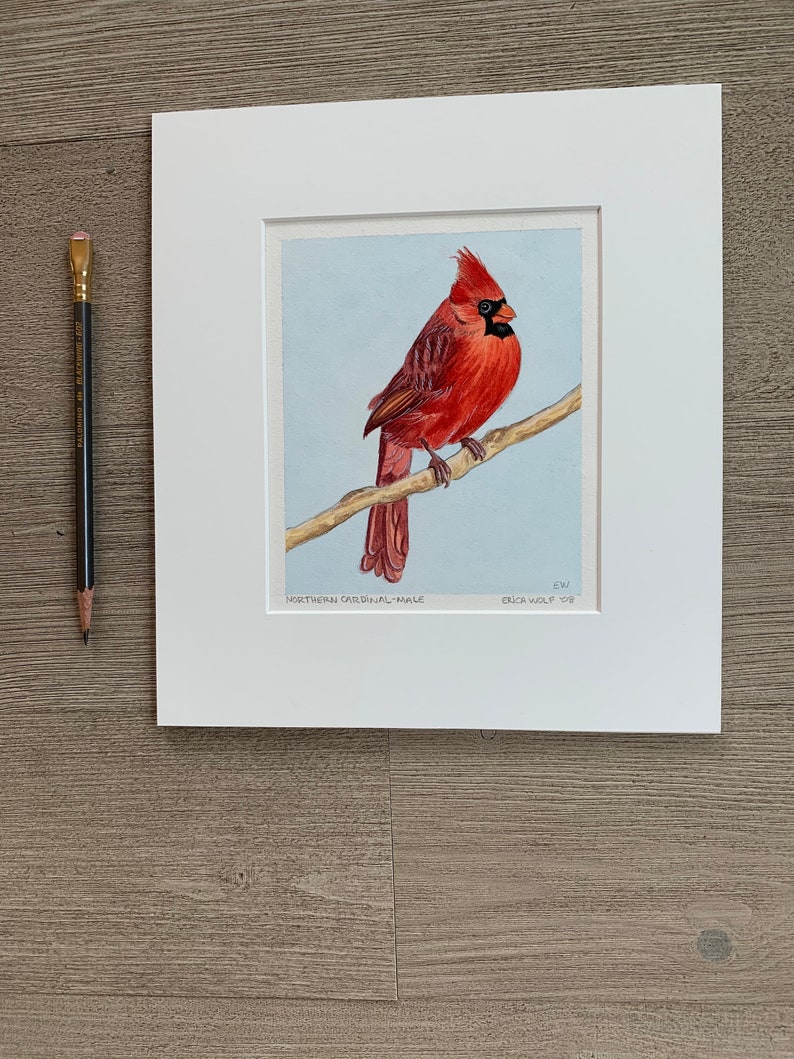 Original Cardinal Painting Male Cardinal Bird Art Original - Etsy