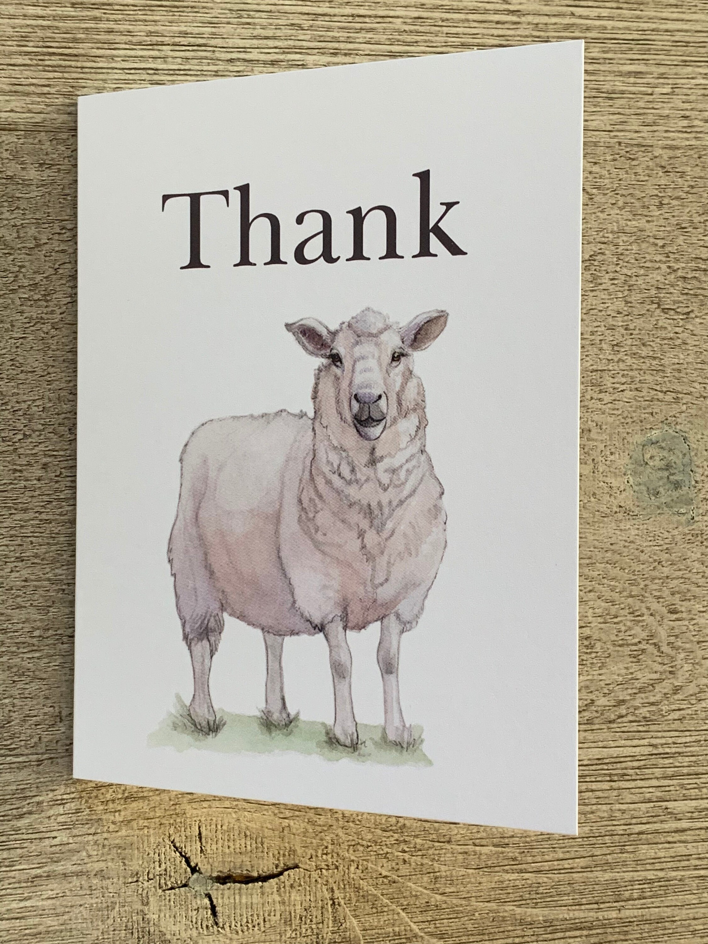 Sheep Thank You Cards, Thank Ewe Cards Boxed Gift Set, Sheep Cards - Etsy