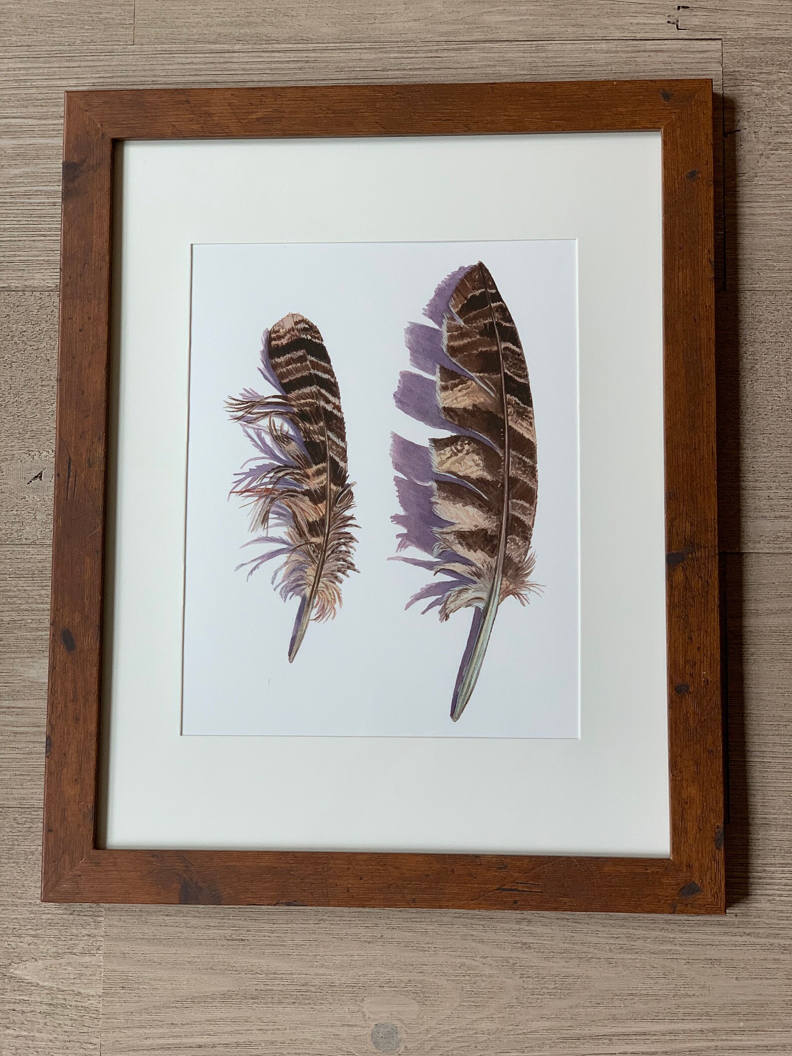Great Horned Owl Feathers Print, Feather Print, Bird Print, Art Print ...