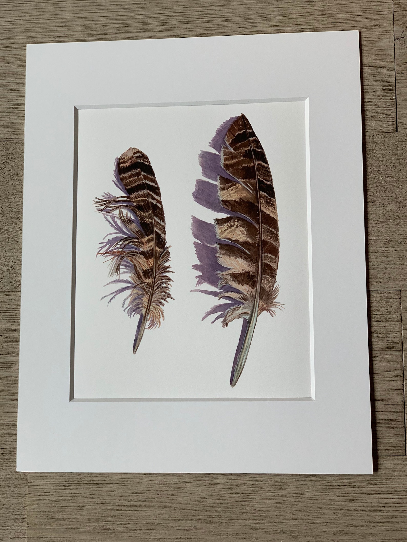 Great Horned Owl Feathers Print, Feather Print, Bird Print, Art Print ...