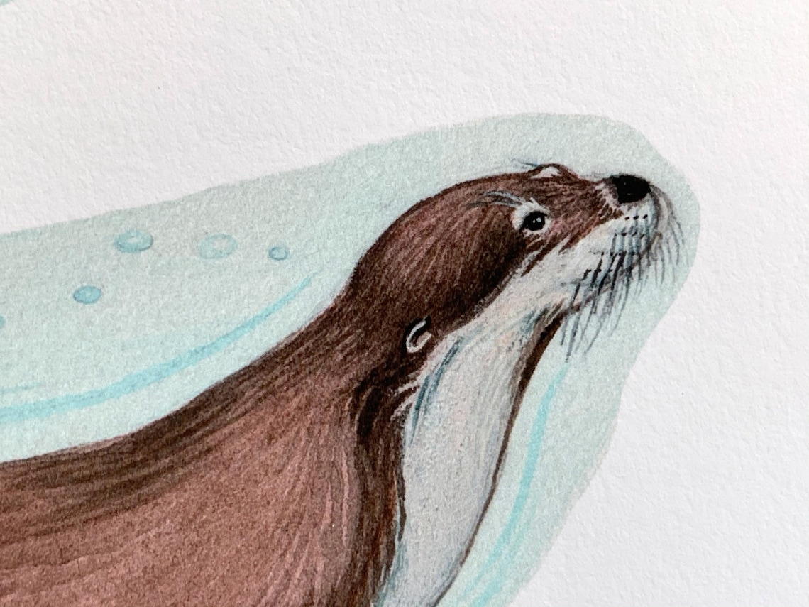 Otters Print Two Sea Otters Swimming Marine Animal Art - Etsy Canada