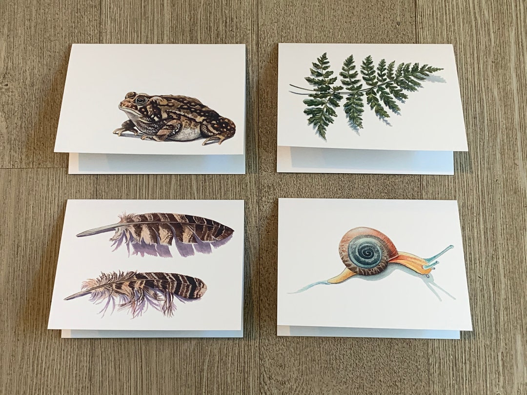 Nature Note Card Set, Mixed Nature Art Stationery Gift Set - Etsy