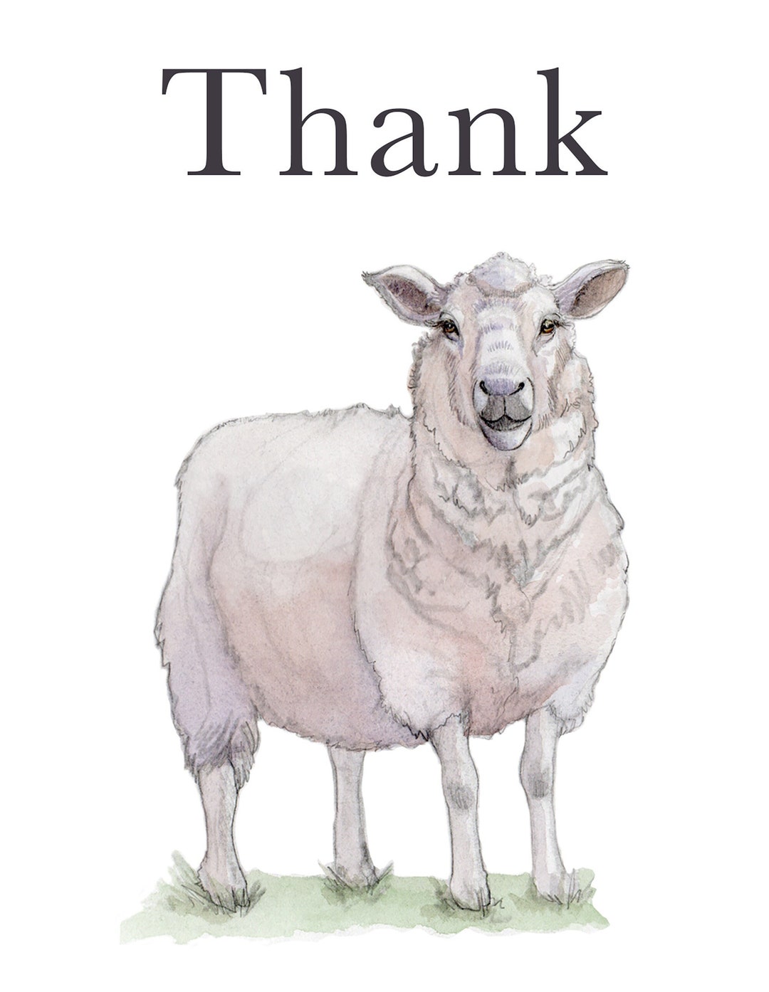Sheep Thank You Cards, Thank Ewe Cards Boxed Gift Set, Sheep Cards - Etsy