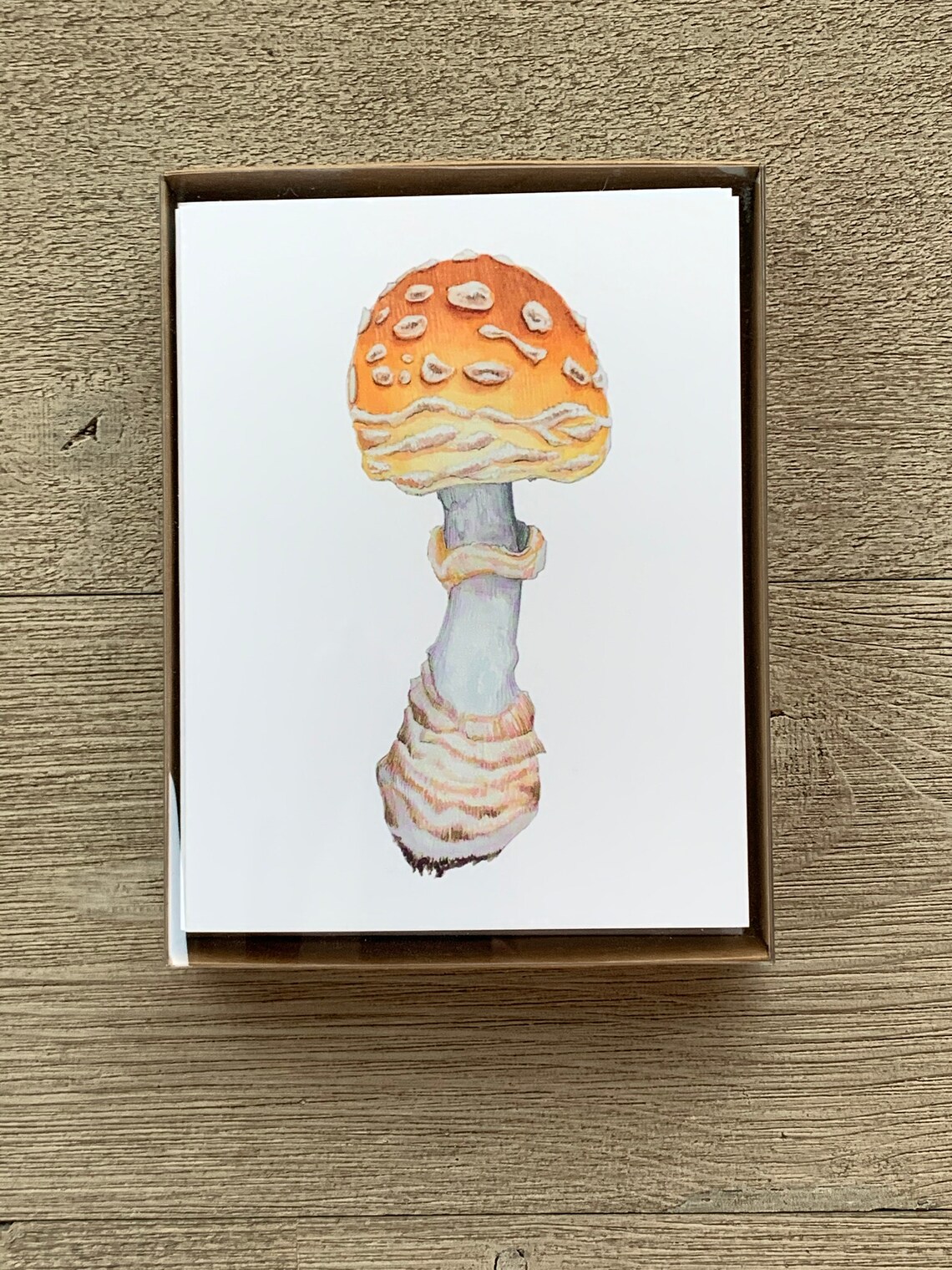 Mushroom Note Card Set, Mixed Mushroom Art Stationery Gift Set - Etsy