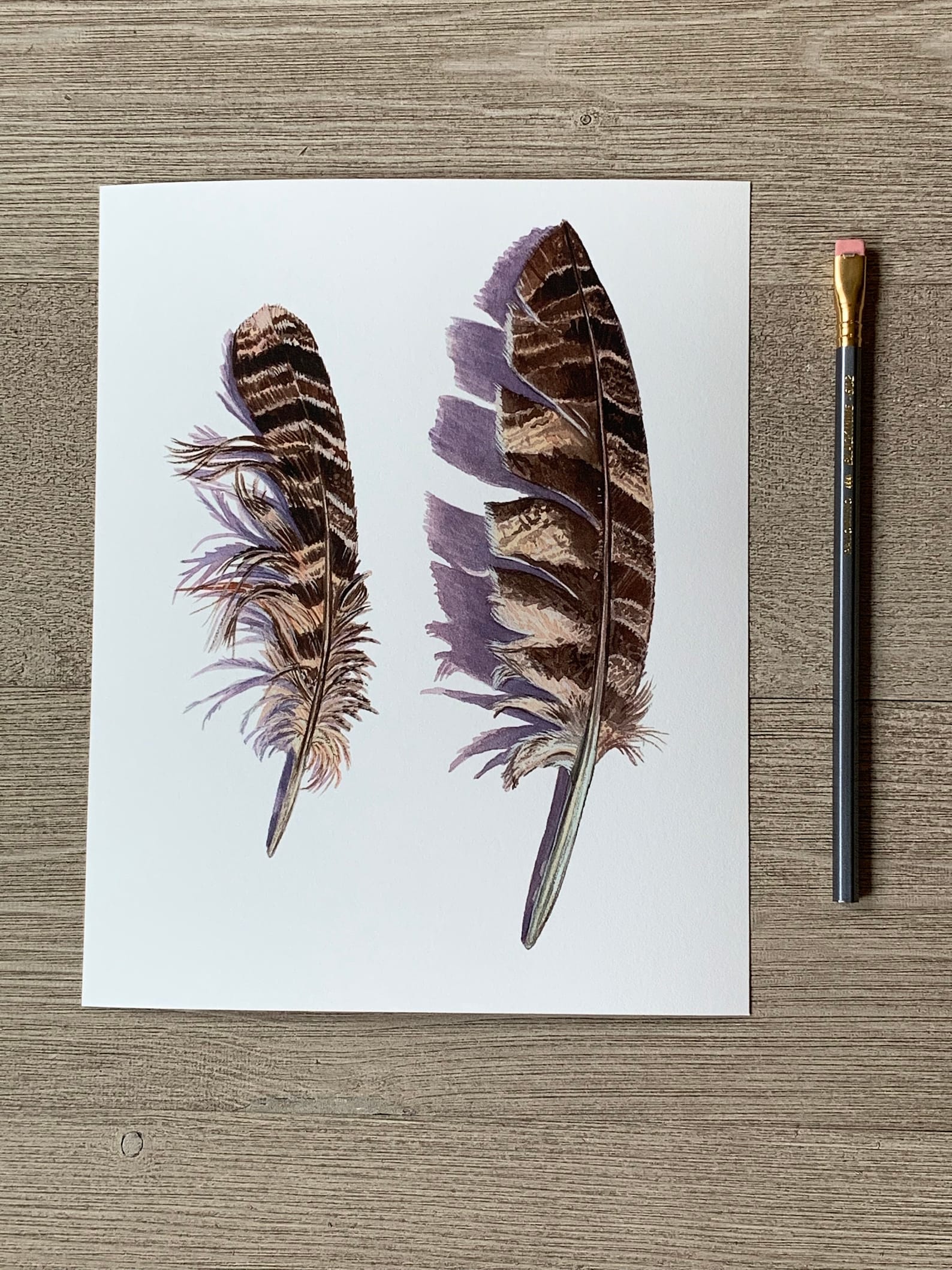 Great Horned Owl Feathers Print, Feather Print, Bird Print, Art Print ...
