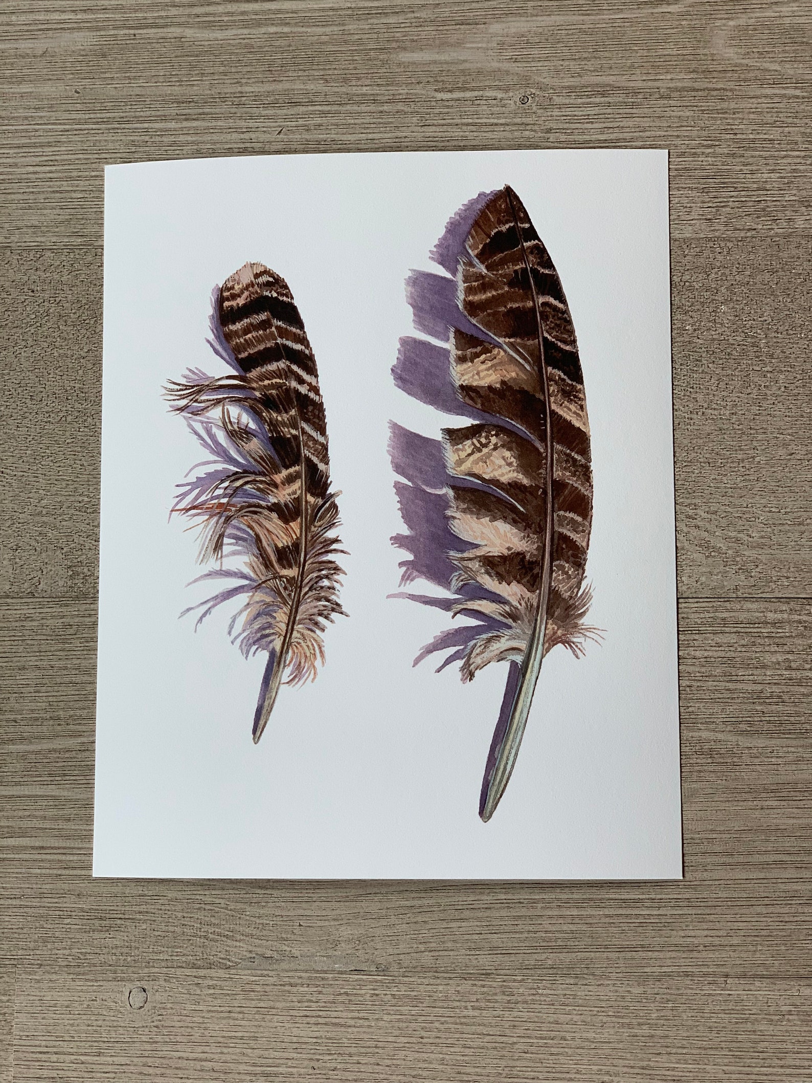 Great Horned Owl Feathers Print, Feather Print, Bird Print, Art Print ...