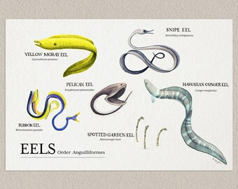 Eel Temporary Tattoo Sticker set of 2 - Etsy