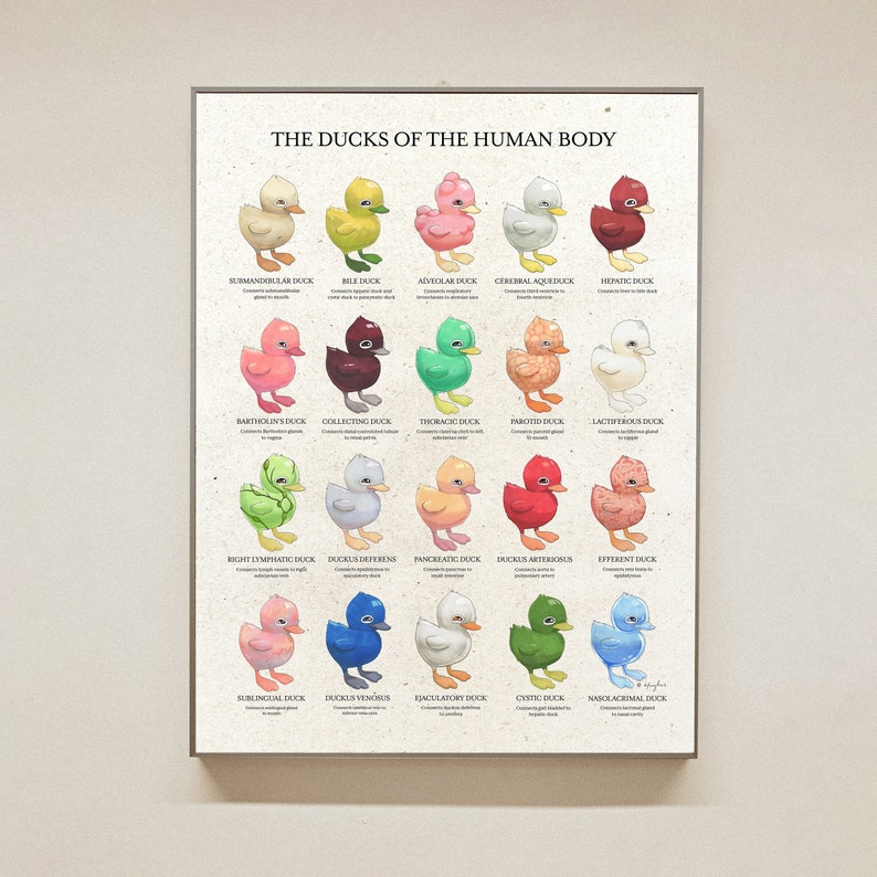 The Ducks of the Human Body Poster - Etsy