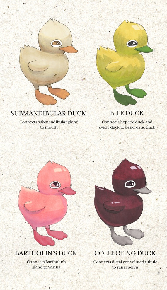 Duck With Human Mouth
