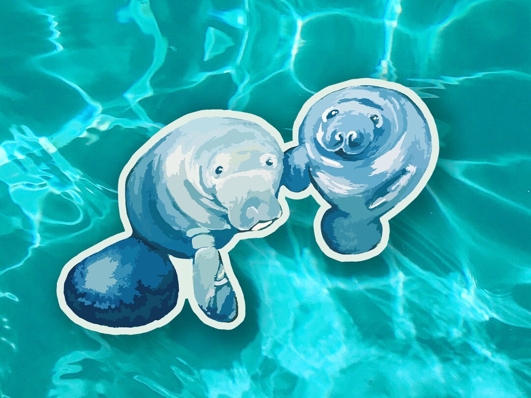 Manatee Sticker | Hand Drawn Waterproof Manatee Vinyl Die Cut Sticker ...