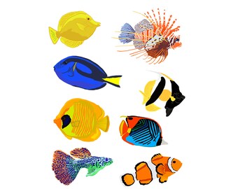 Fish Clipart PNG Tropical Fish Digital Download - Etsy