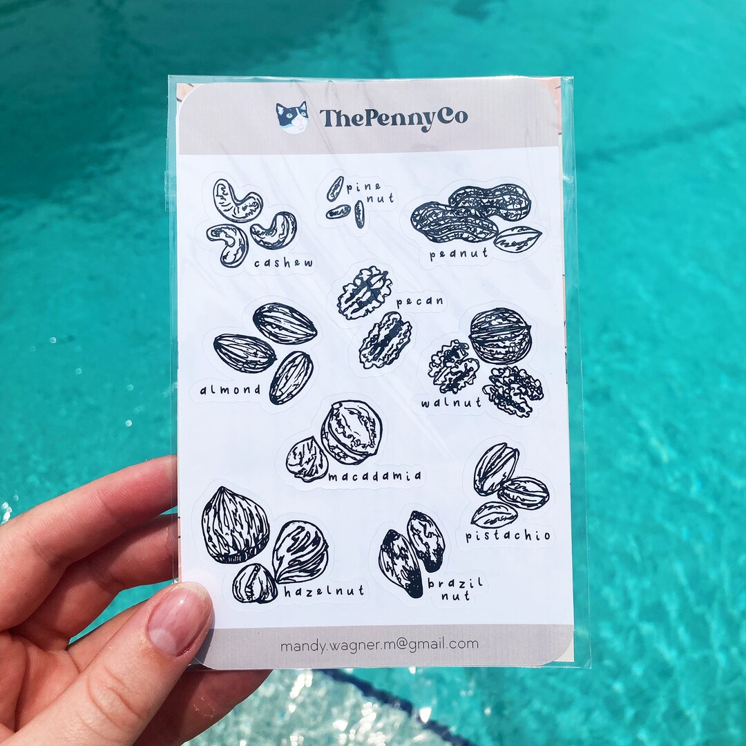 Nuts Sticker Sheet | Hand Drawn Nut Varieties | Nuts Doodle Art ...
